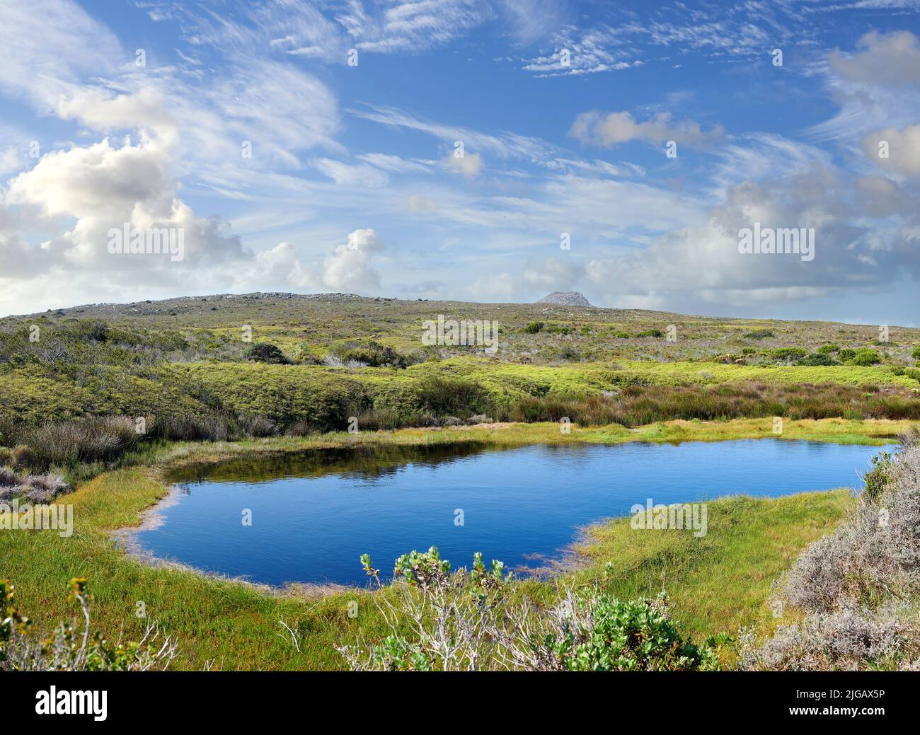 The wilderness of Cape Point National Park. The wilderness of Cape ...
