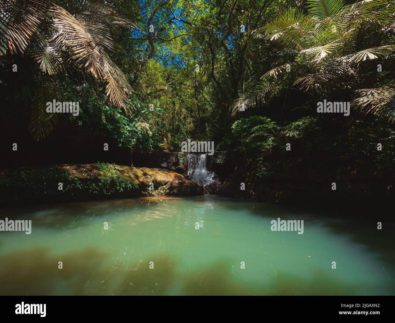 Jungle secret hi-res stock photography and images - Alamy