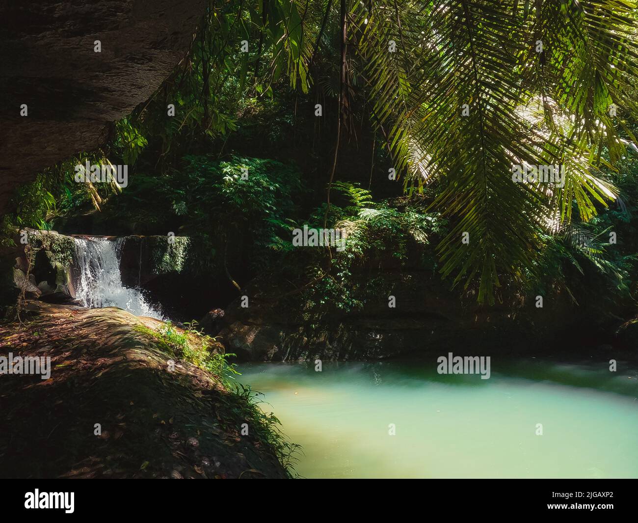 Jungle secret hi-res stock photography and images - Alamy