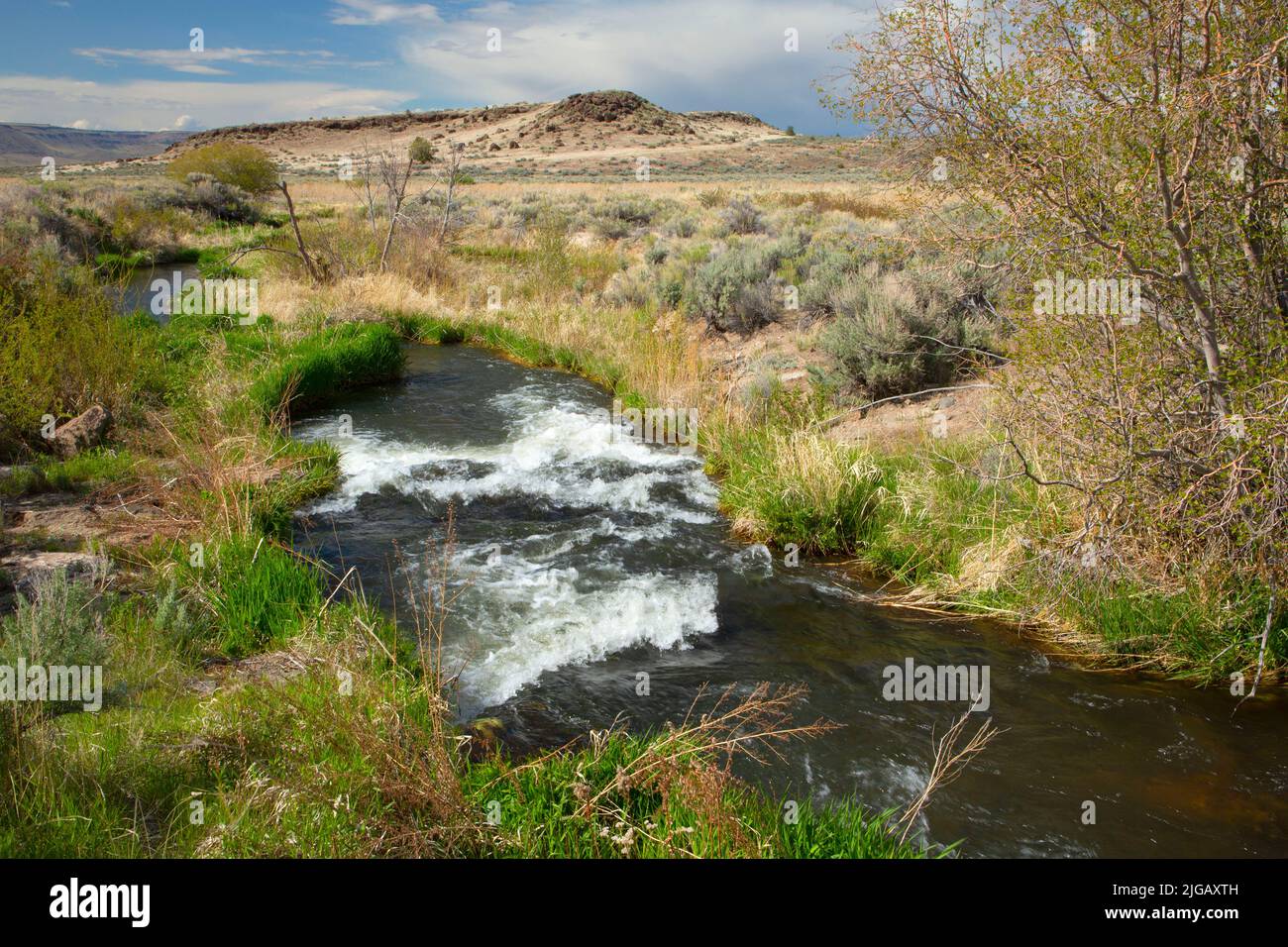 East Canal, Malheur National Wildlife Refuge, Oregon Stock Photo - Alamy