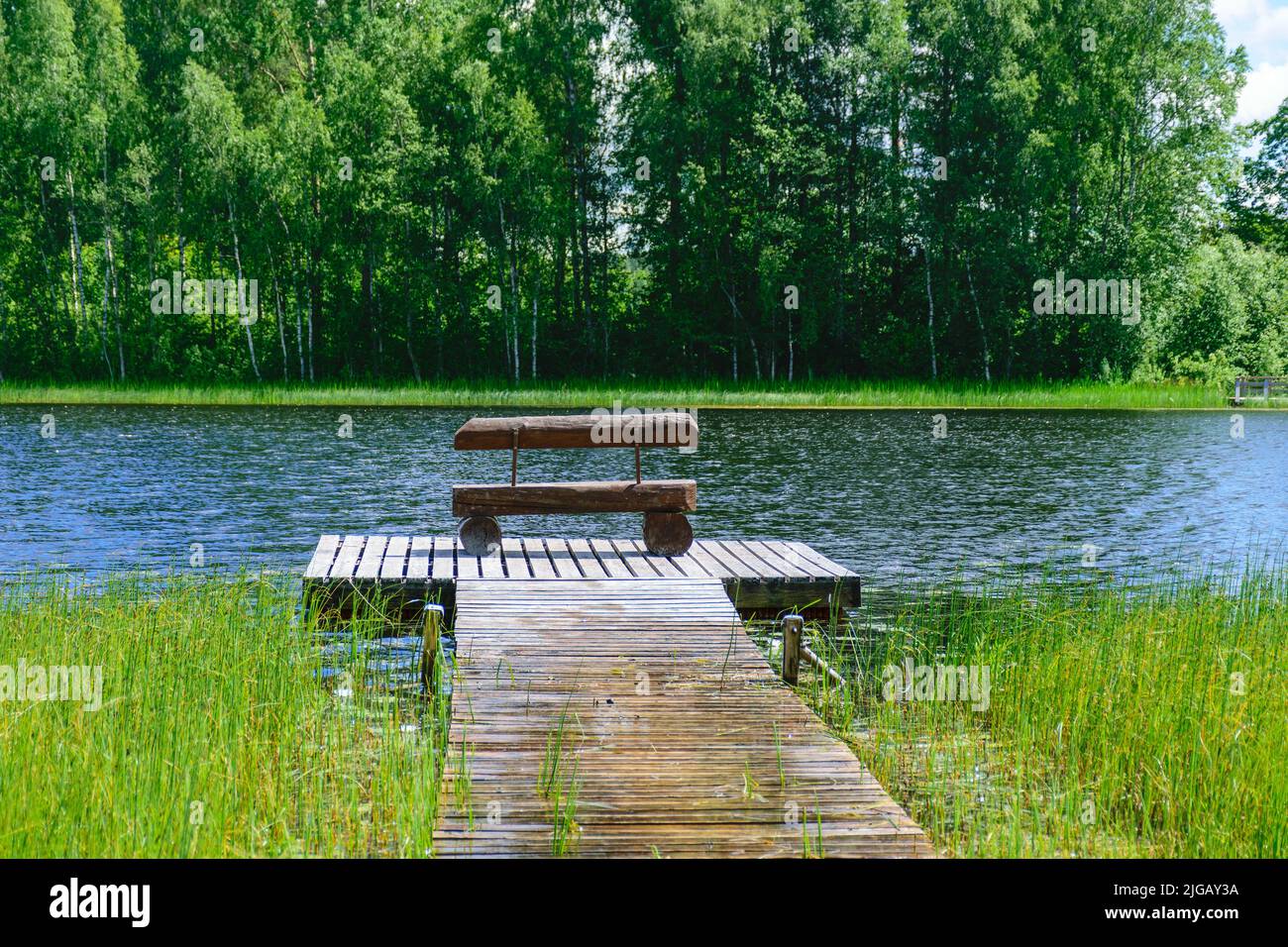 wooden footbridges, swampy lake shore, marsh plant vegetation, Lake ...