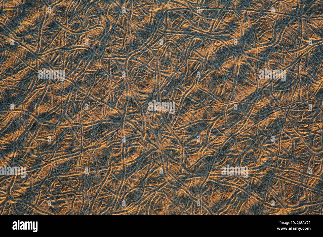Sand patterns tracks on hi-res stock photography and images - Alamy
