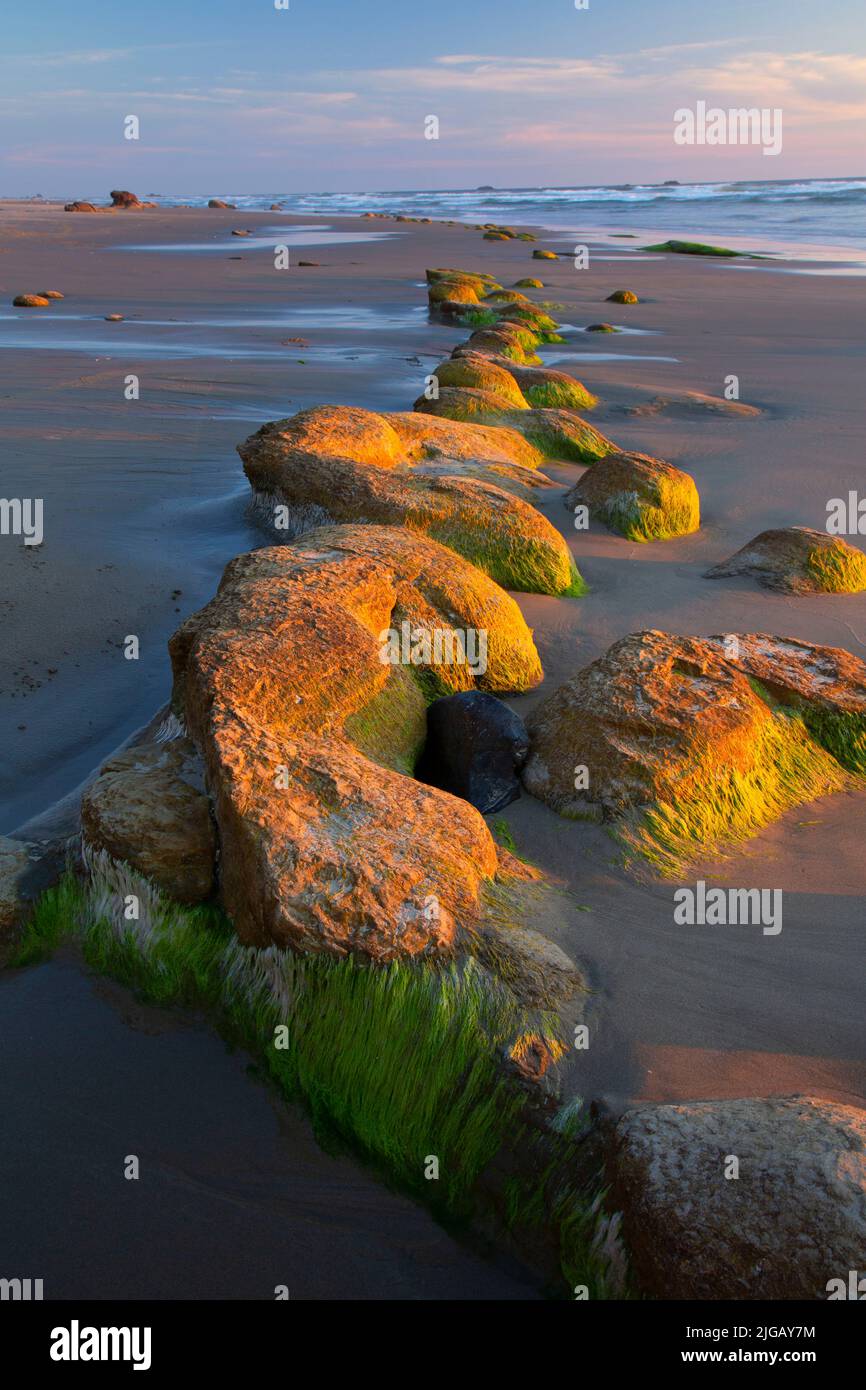 Ona Beach, Brian Booth State Park, Oregon Stock Photo - Alamy