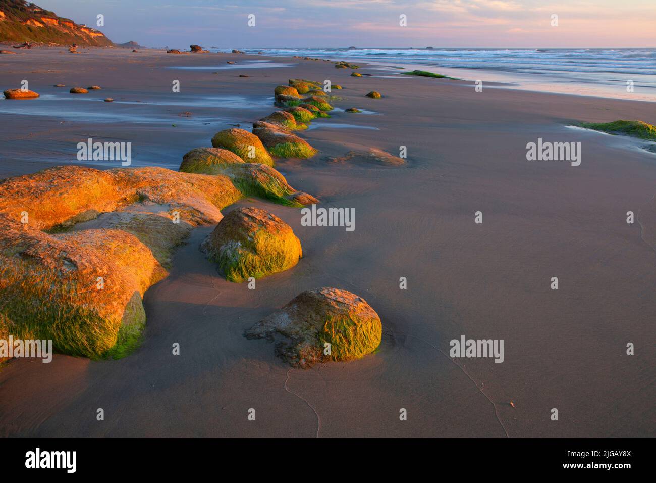 Ona Beach, Brian Booth State Park, Oregon Stock Photo - Alamy