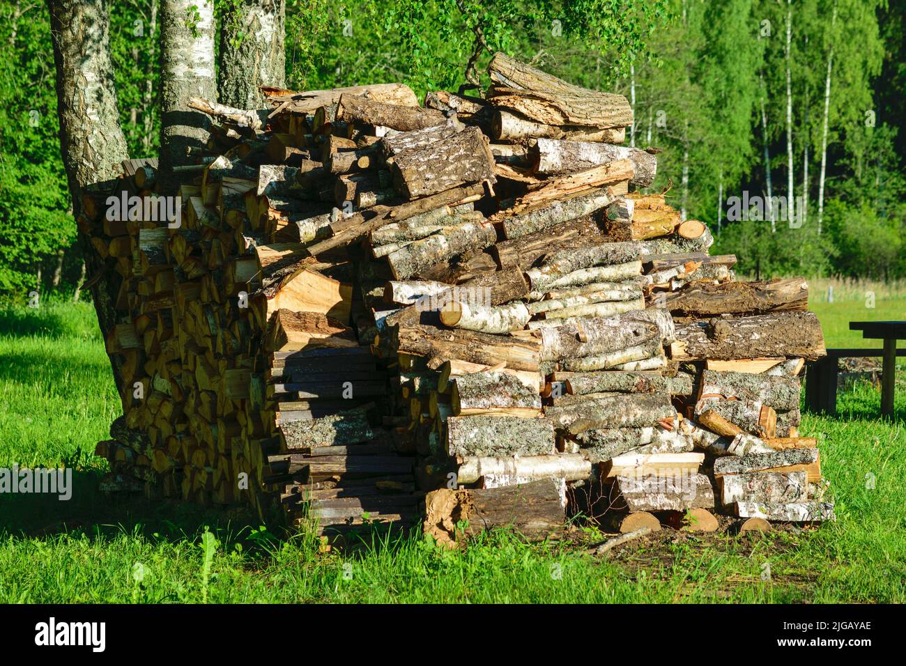 prepared firewood for the winter heating period, energy crisis ...
