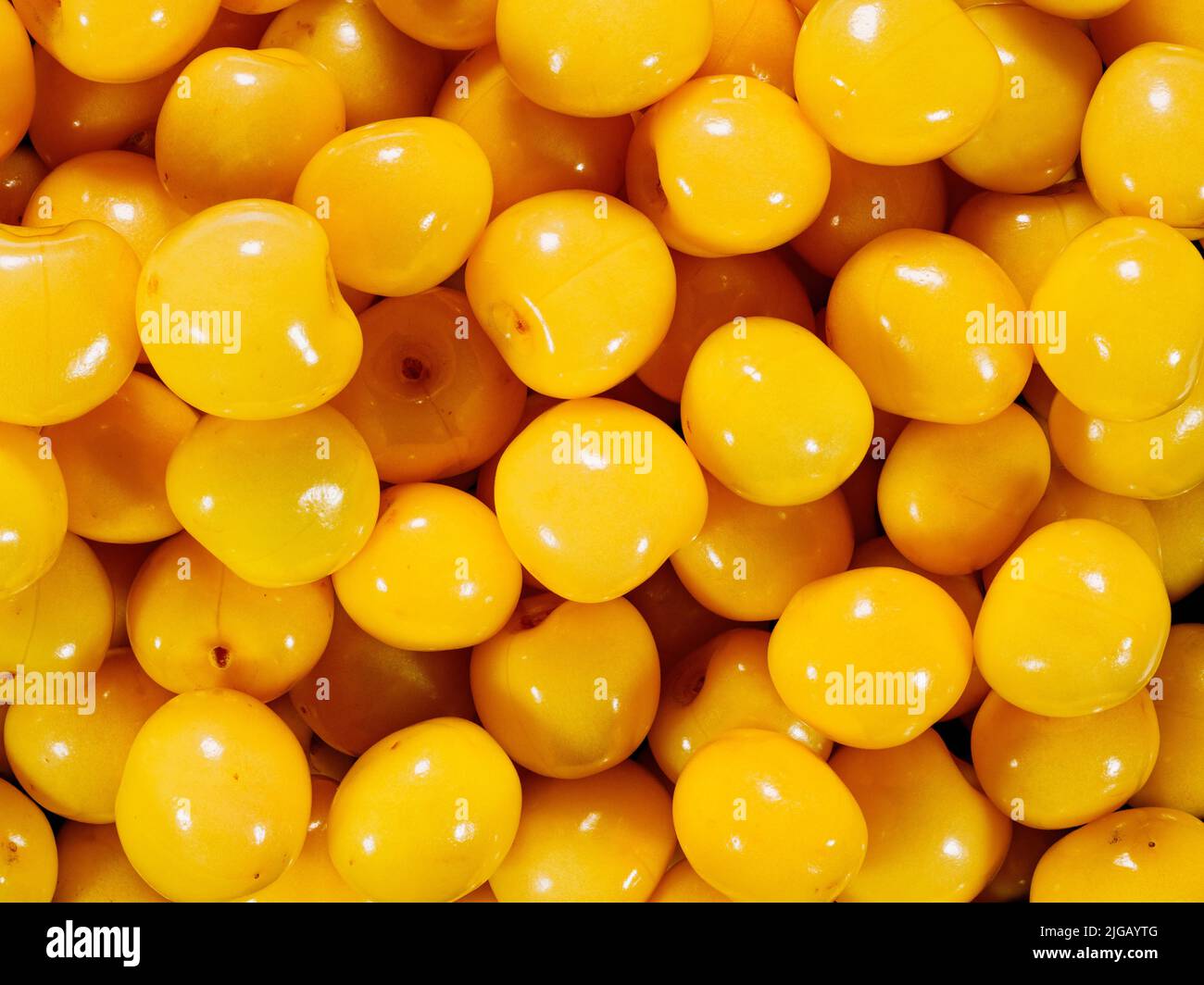 Lots of detail yellow cherry berries as a background Stock Photo - Alamy