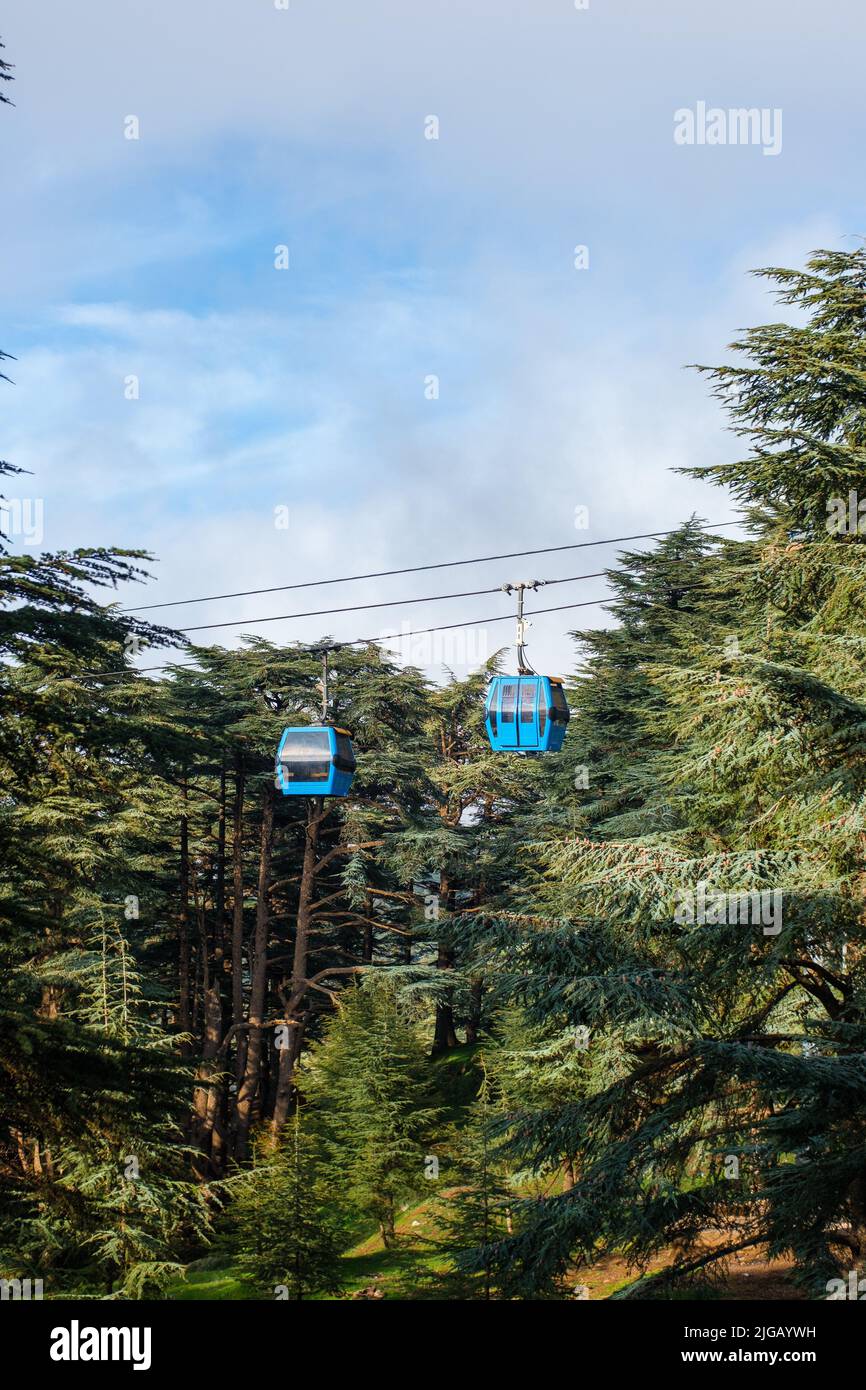 A view of the cableway transport in a forest with green trees Stock ...