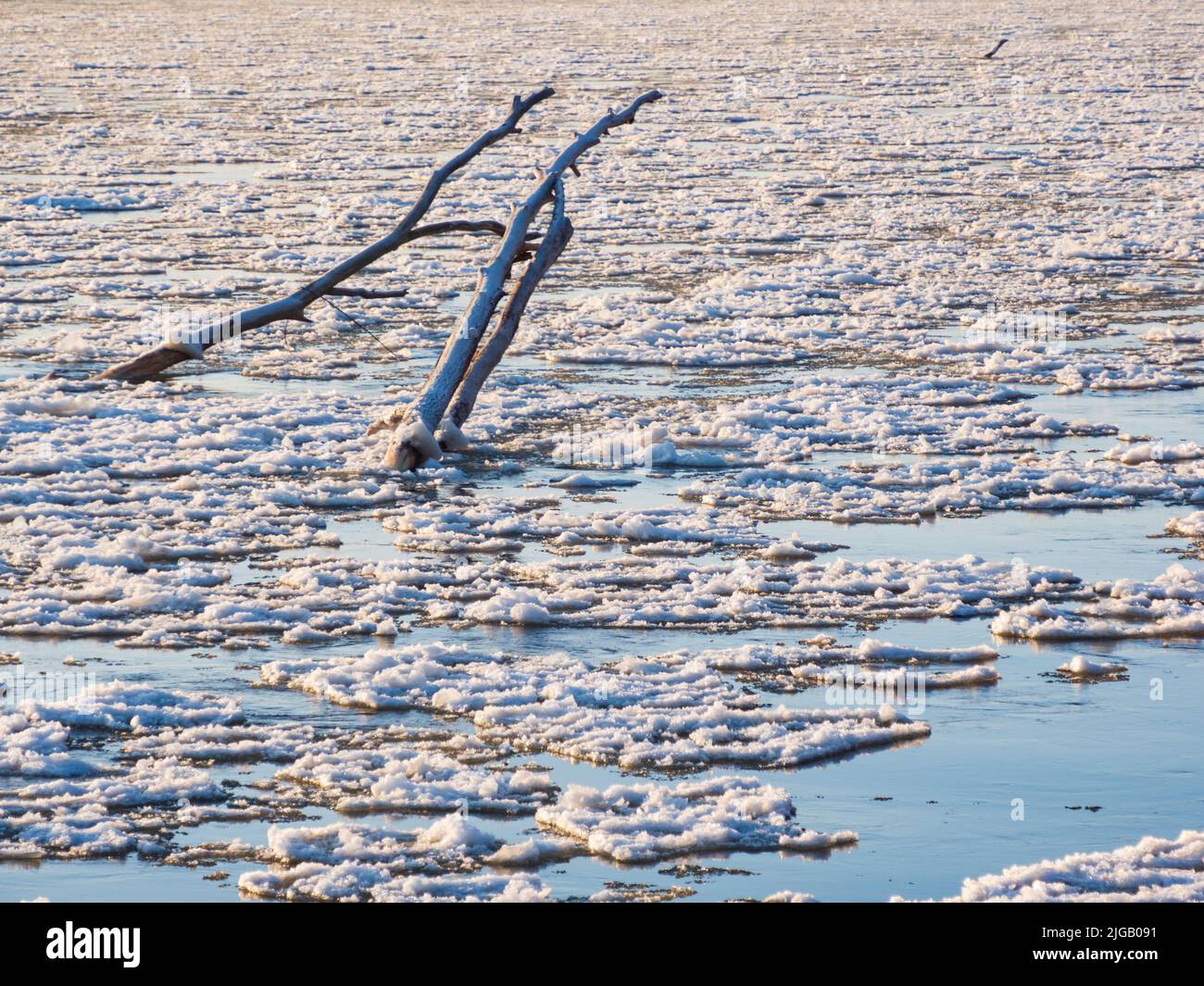 Shuga - disc-shaped ice floes. Fantastic phenomenon on the Vistula ...