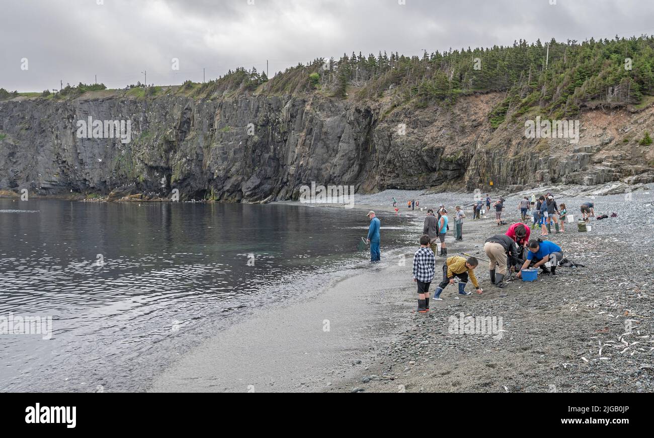 Logy Bay-Middle Cove-Outer Cove, Newfoundland and Labrador, Canada ...