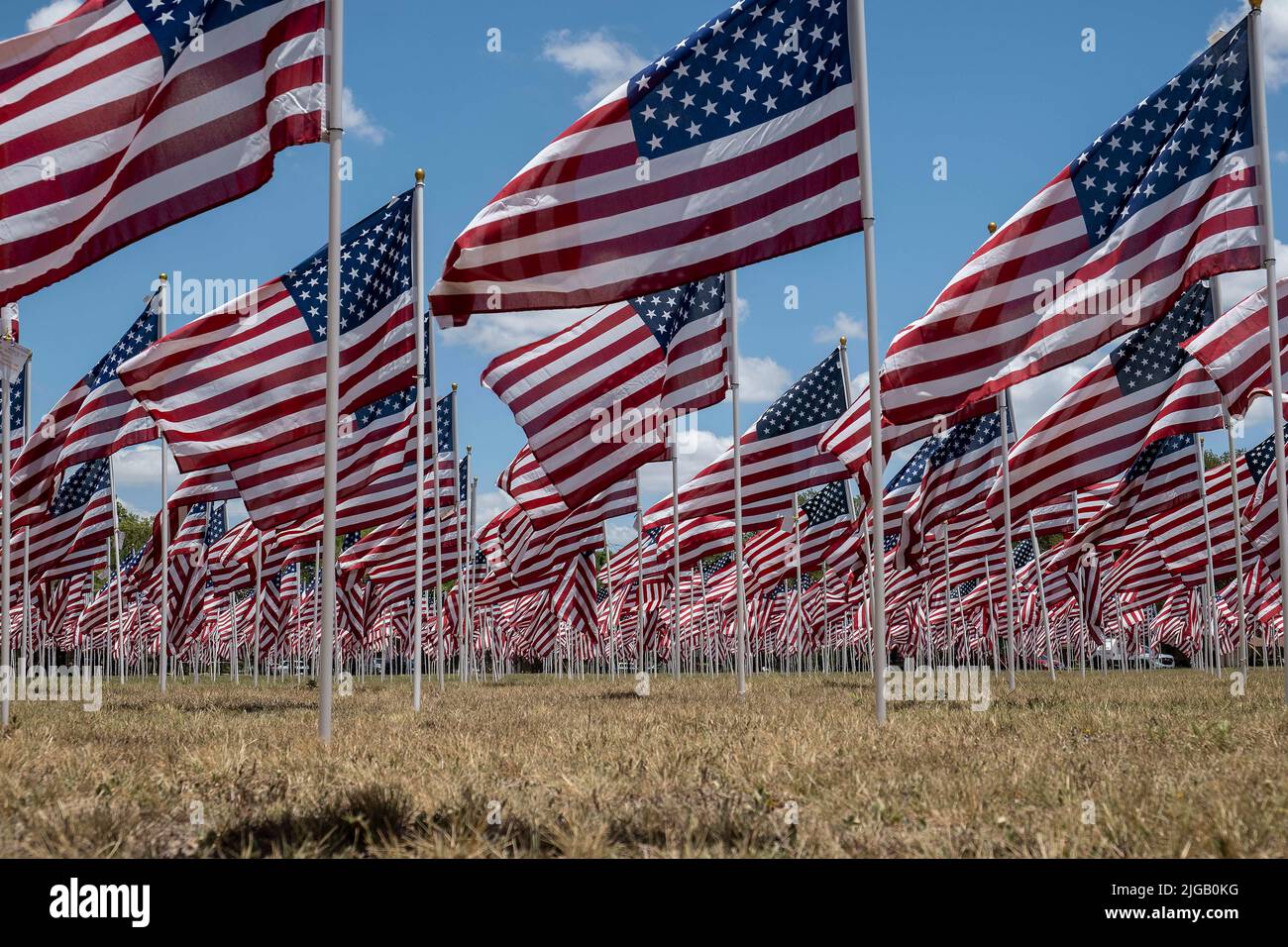 Field of Honor display with one thousand United States flags flying ...