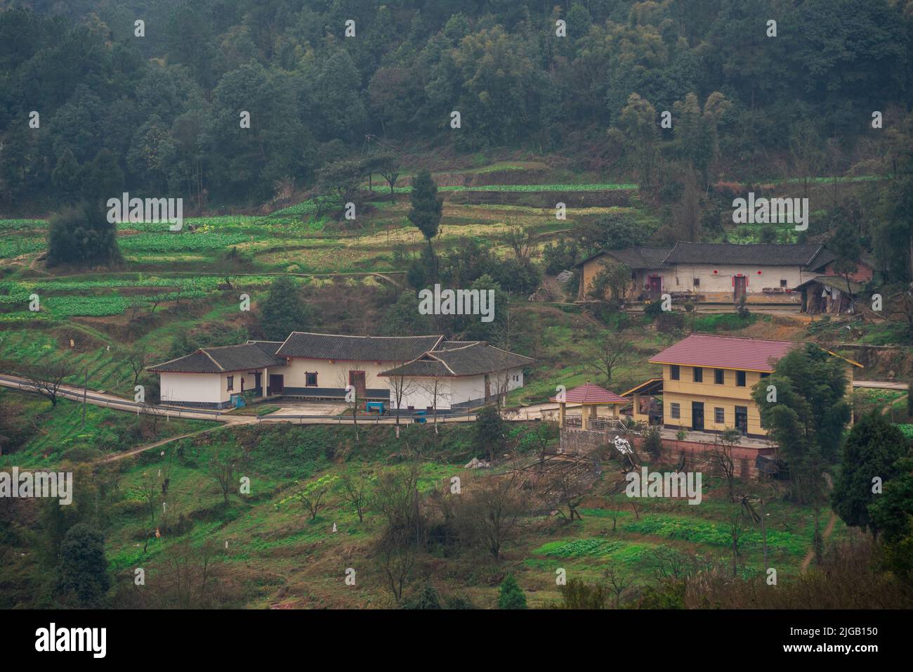 An aerial view of village houses and green forest Stock Photo - Alamy