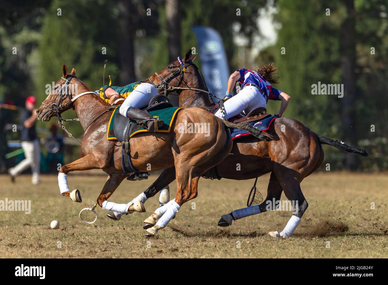 Women polo hi-res stock photography and images - Alamy