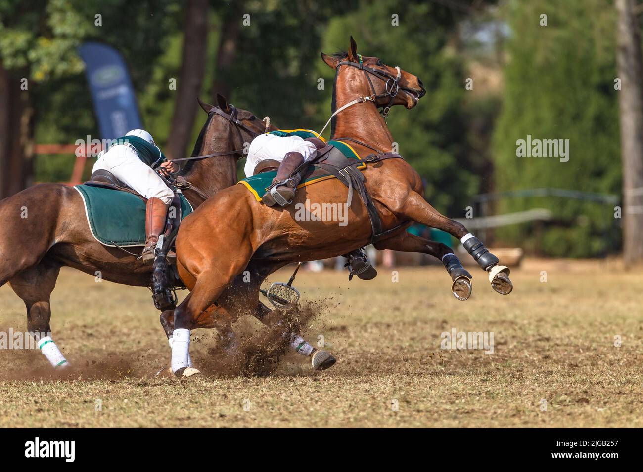 Polo cross hi-res stock photography and images - Alamy