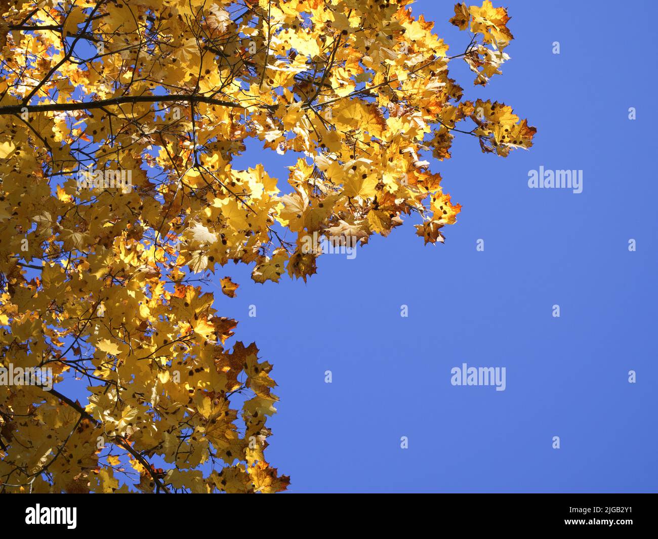 Vivid colours sky blue hi-res stock photography and images - Alamy