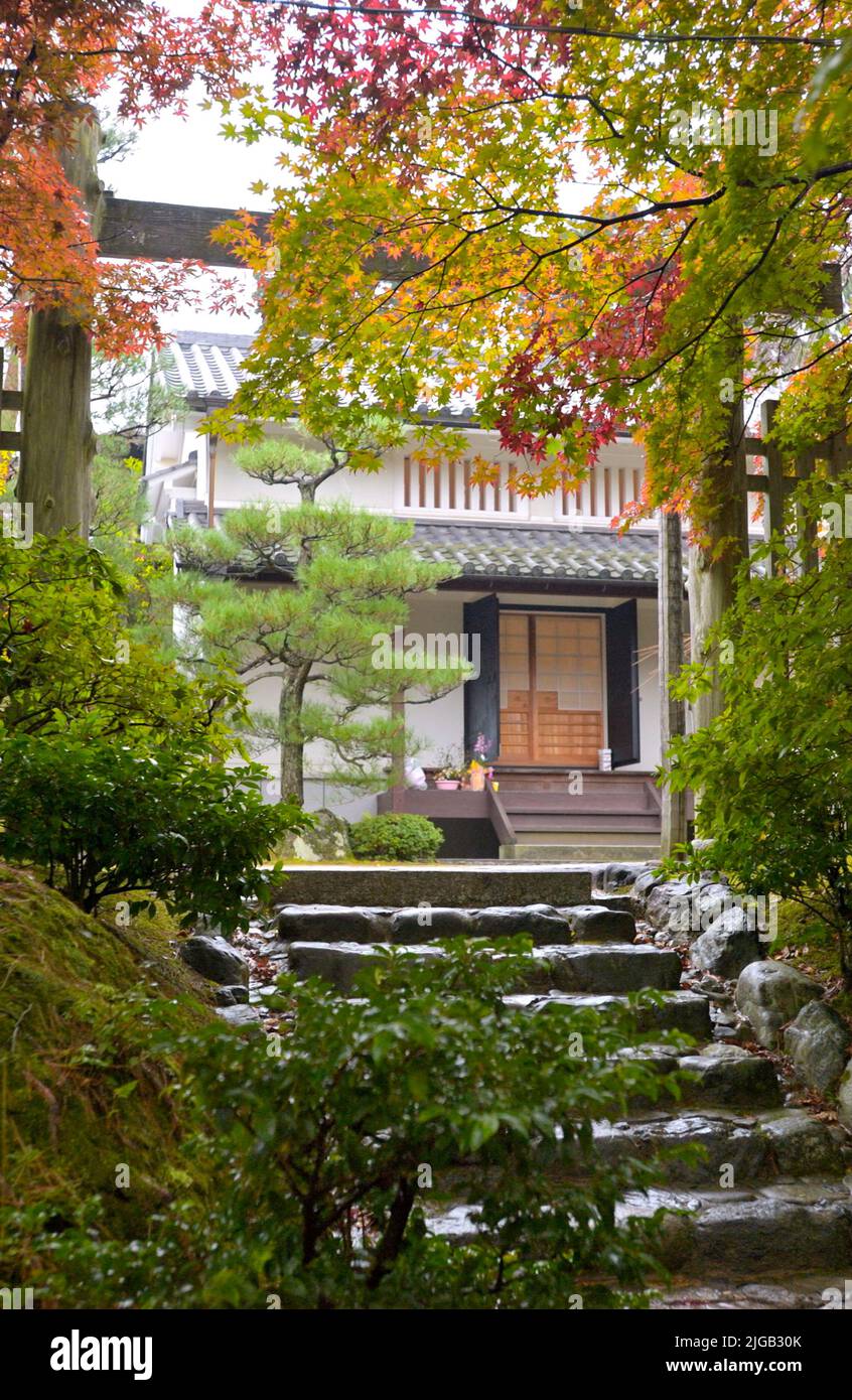 Tenryuji Temple Kyoto Bamboo Forest