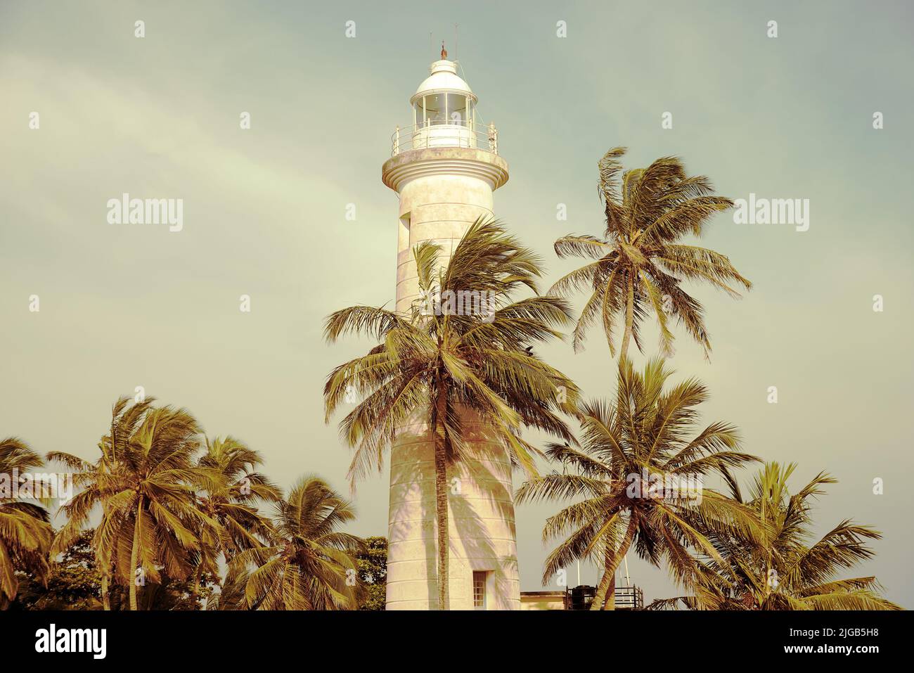Old lighthouse and palm trees on the sky background Stock Photo - Alamy