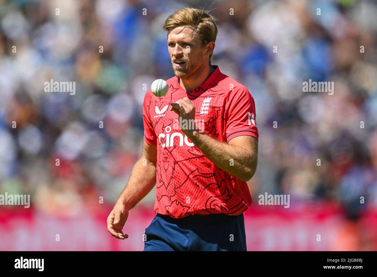David willey hi-res stock photography and images - Alamy