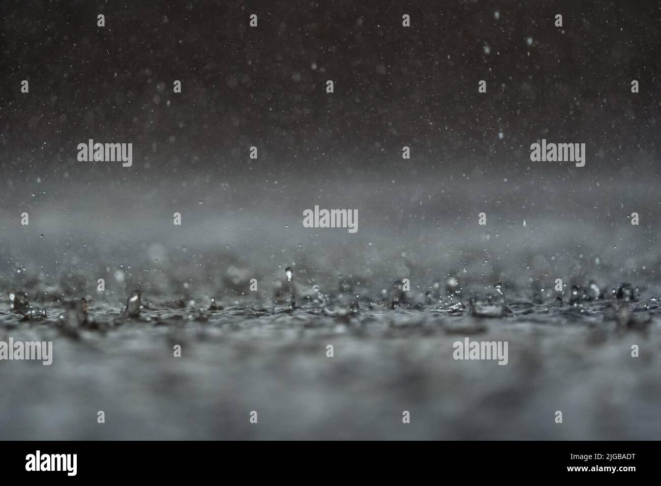 A close-up shot of rain drops on a water surface Stock Photo - Alamy