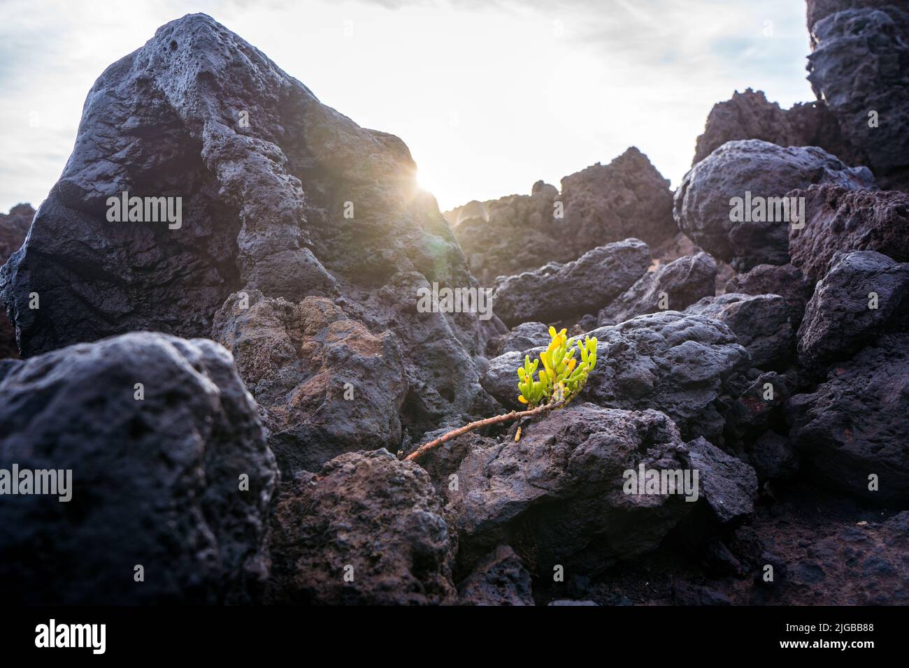 Beautiful valley black volcanic hi-res stock photography and images - Alamy