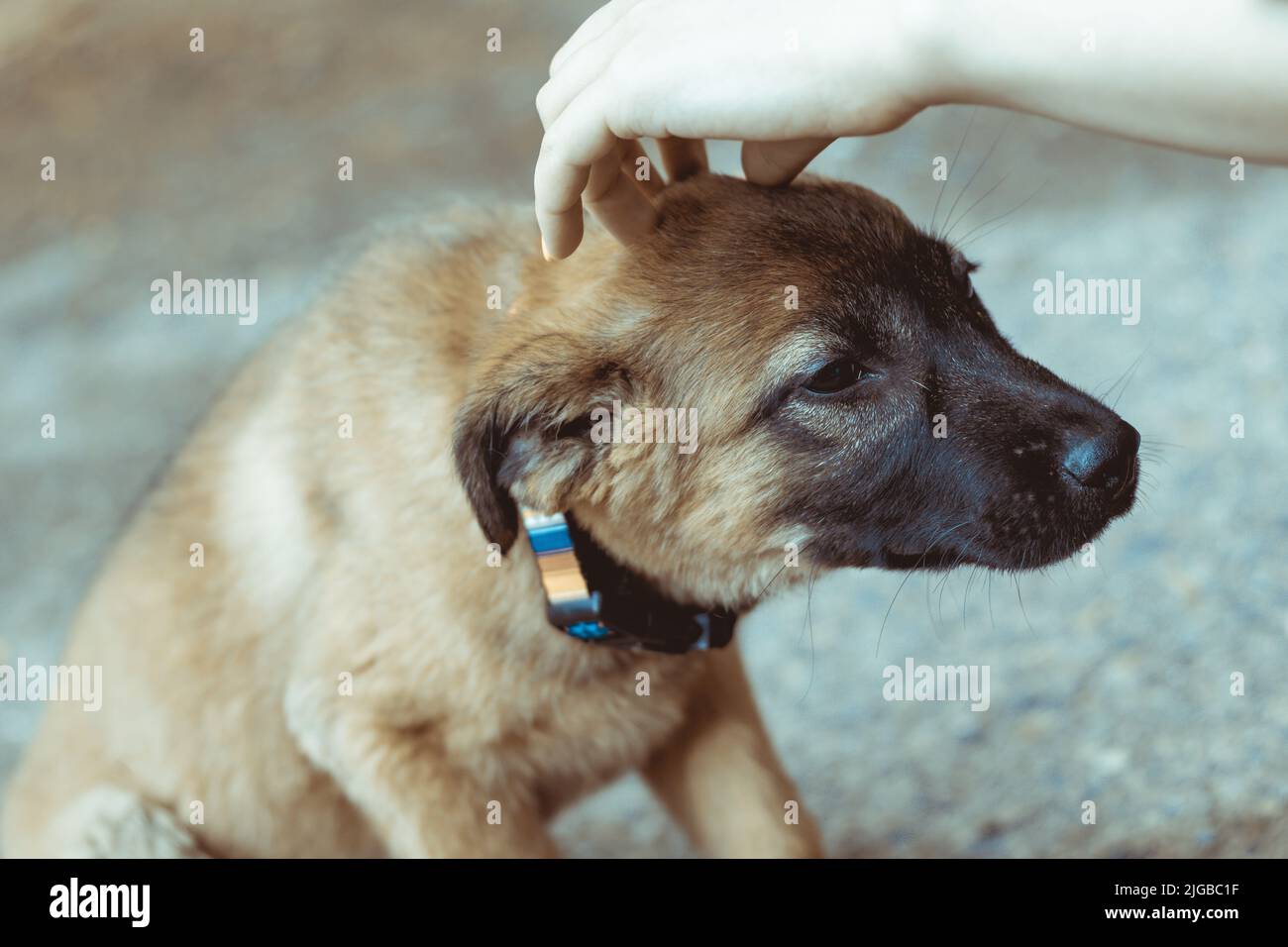 Adopt a village hi-res stock photography and images - Alamy