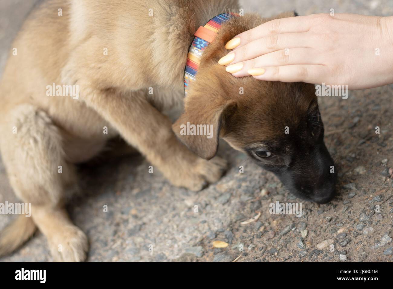 Adopt a village hi-res stock photography and images - Alamy