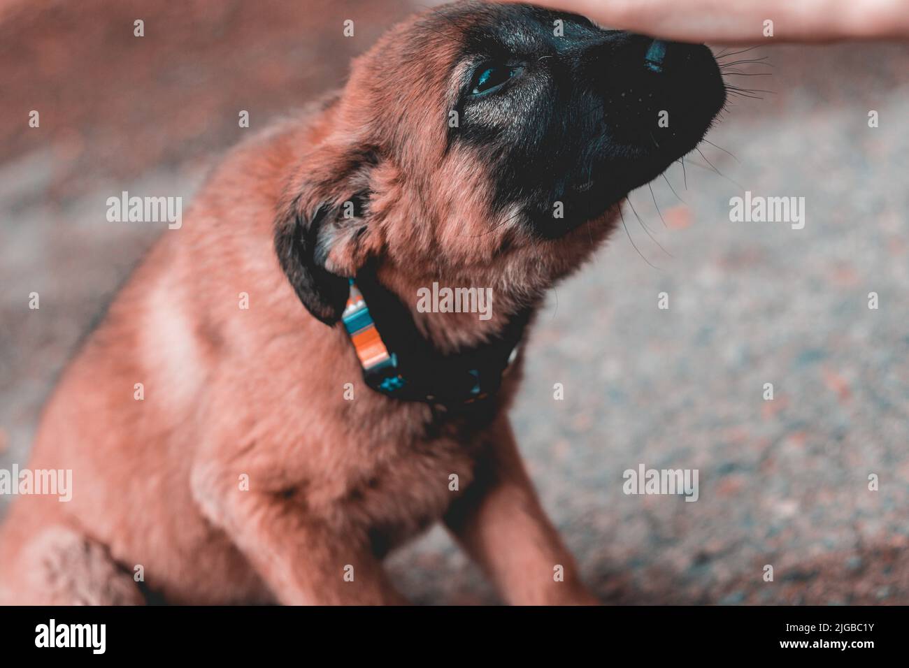 Adopt a village hi-res stock photography and images - Alamy