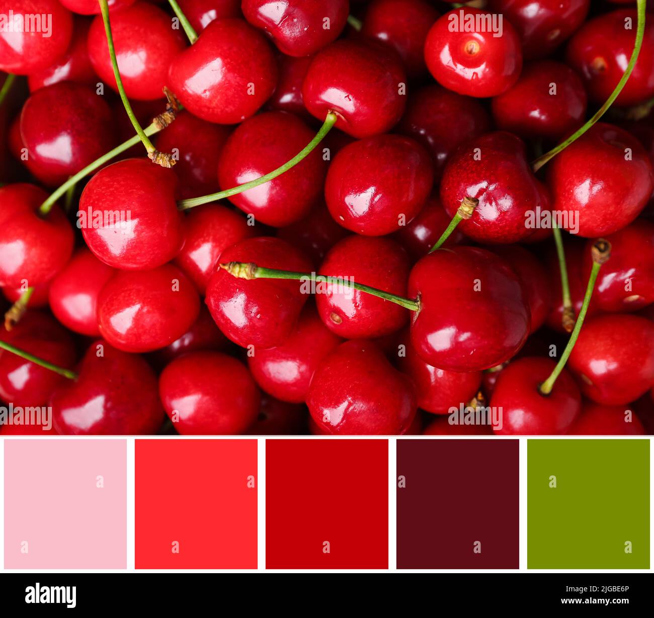 Sweet cherries, closeup. Different color patterns Stock Photo - Alamy