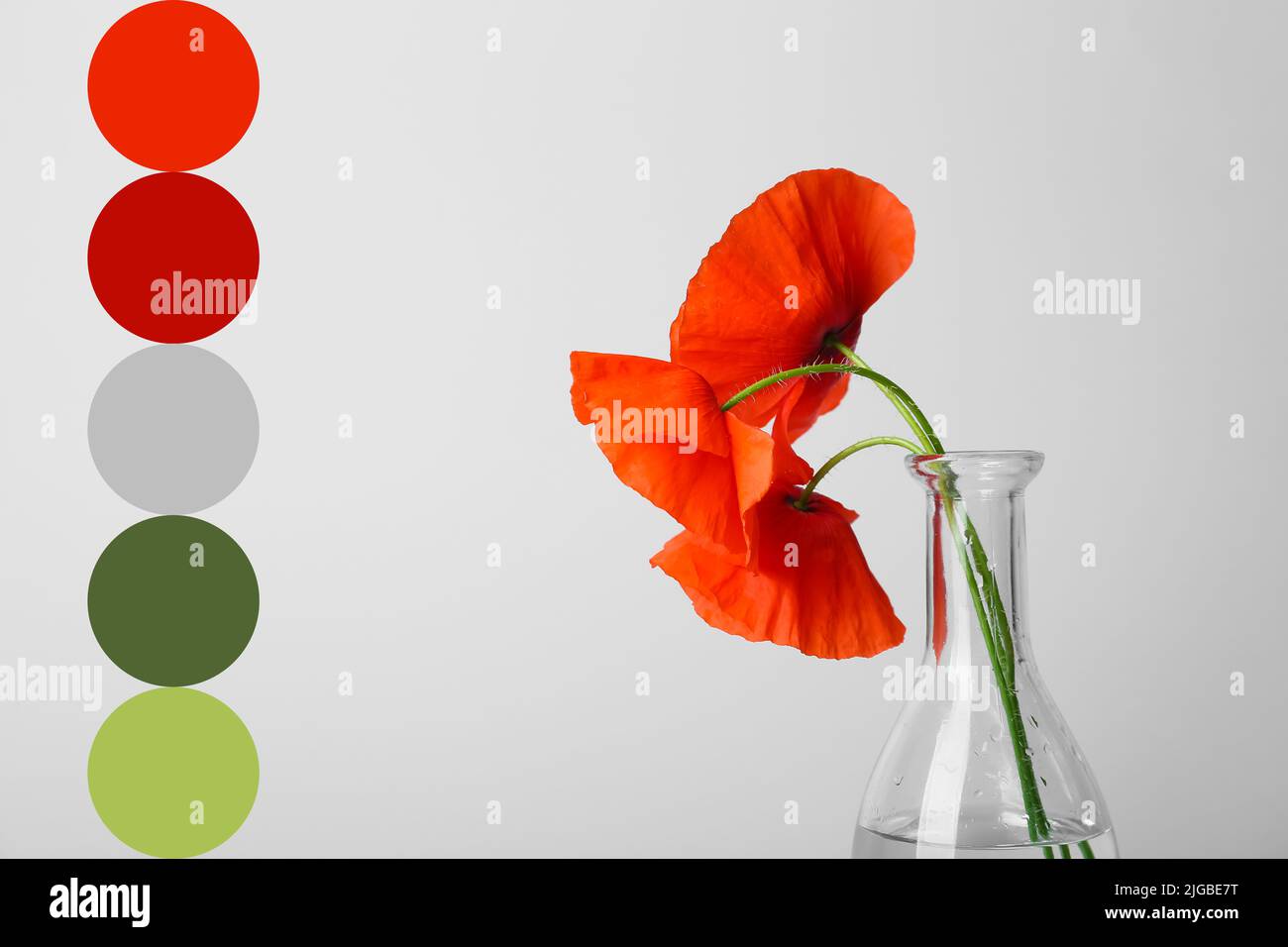 Red and grey color combinations hi-res stock photography and images - Alamy