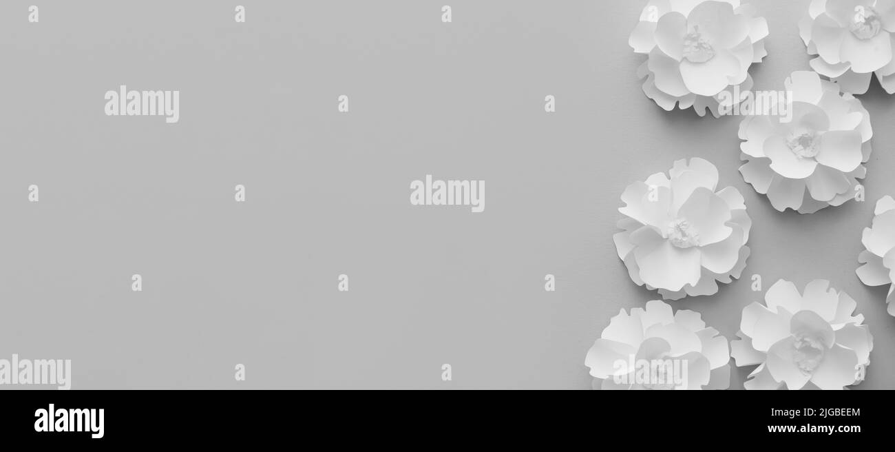 Composition with beautiful paper flowers on grey background with space ...
