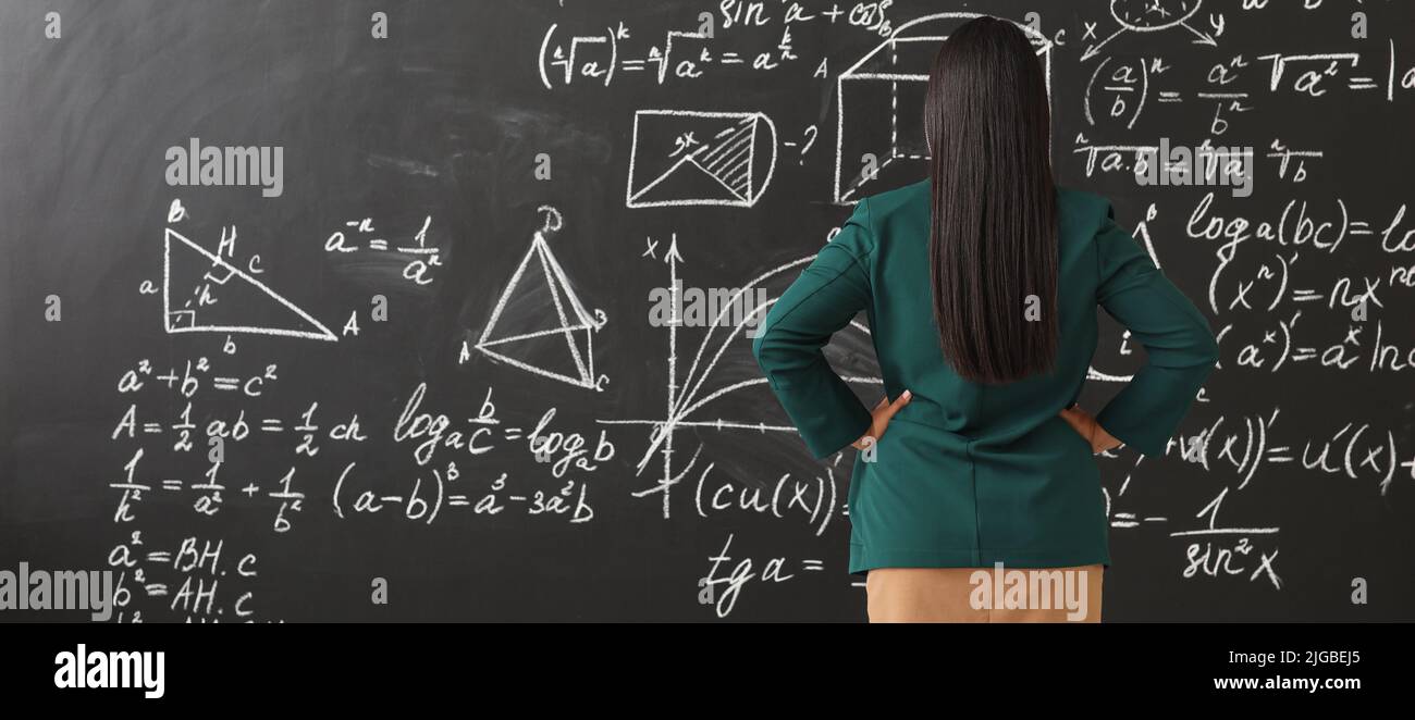 Female maths teacher near blackboard in classroom, back view Stock ...
