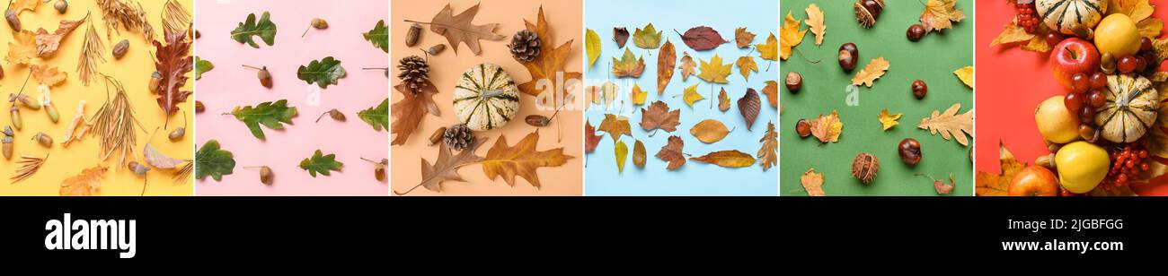 Collage with many autumn leaves, acorns, vegetables and fruits on ...