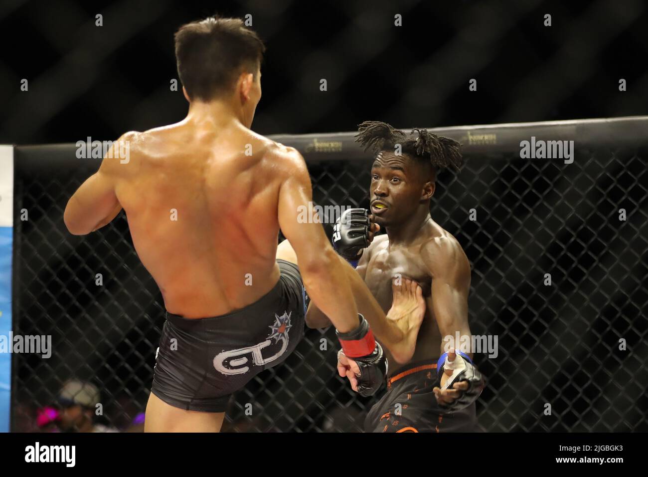 Shamar williams hi-res stock photography and images - Alamy