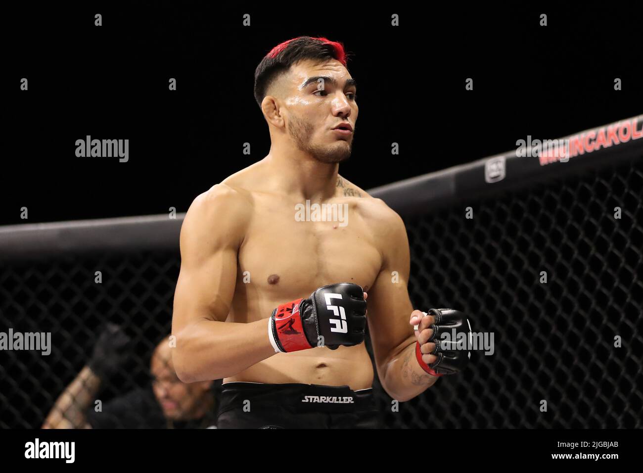 PHOENIX, AZ - JULY 8: Austin Wourms and Lucas Clay meet in the octagon ...
