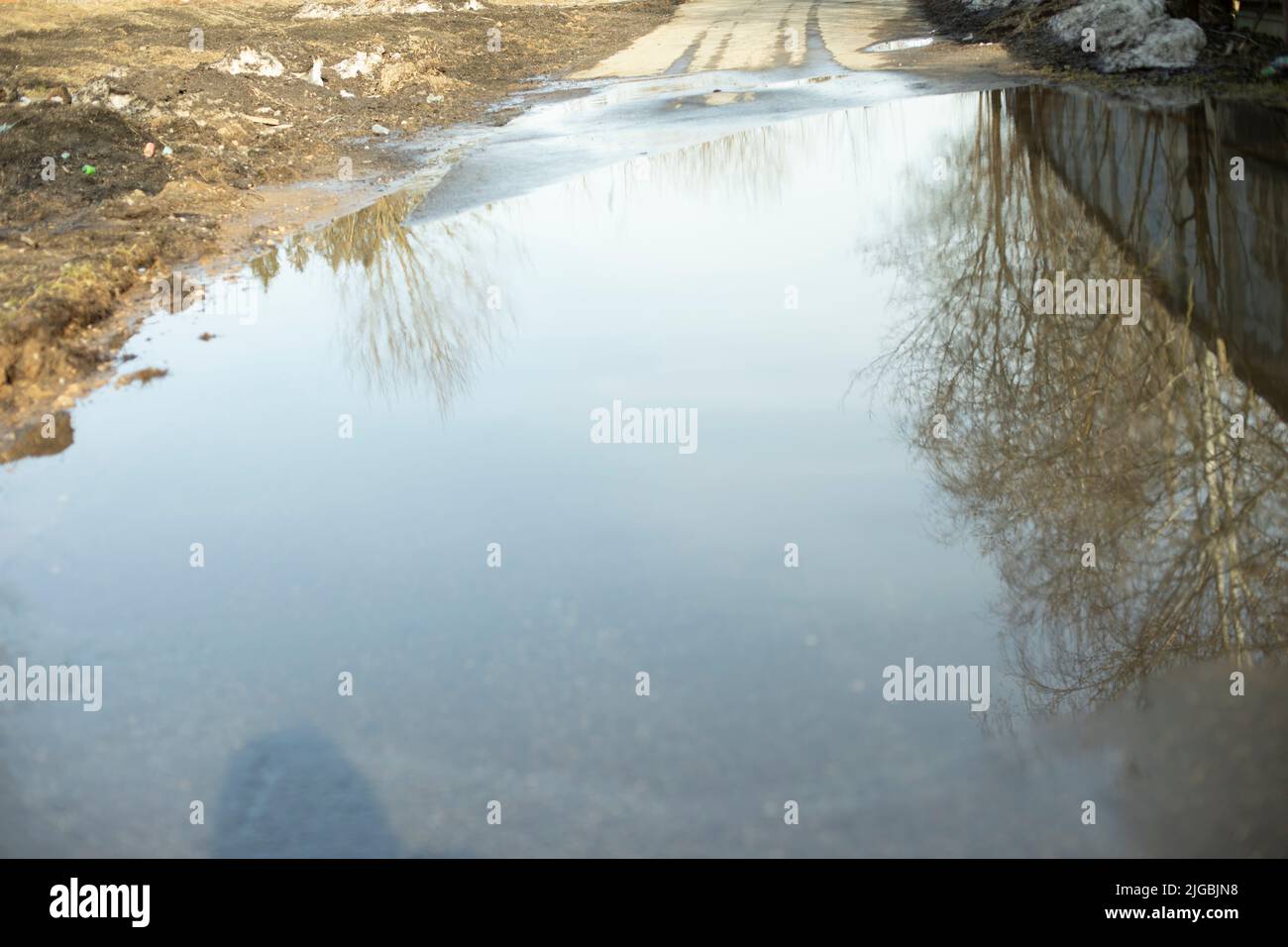 Big puddle in road. Water on asphalt. Road in park. Spring water spill ...