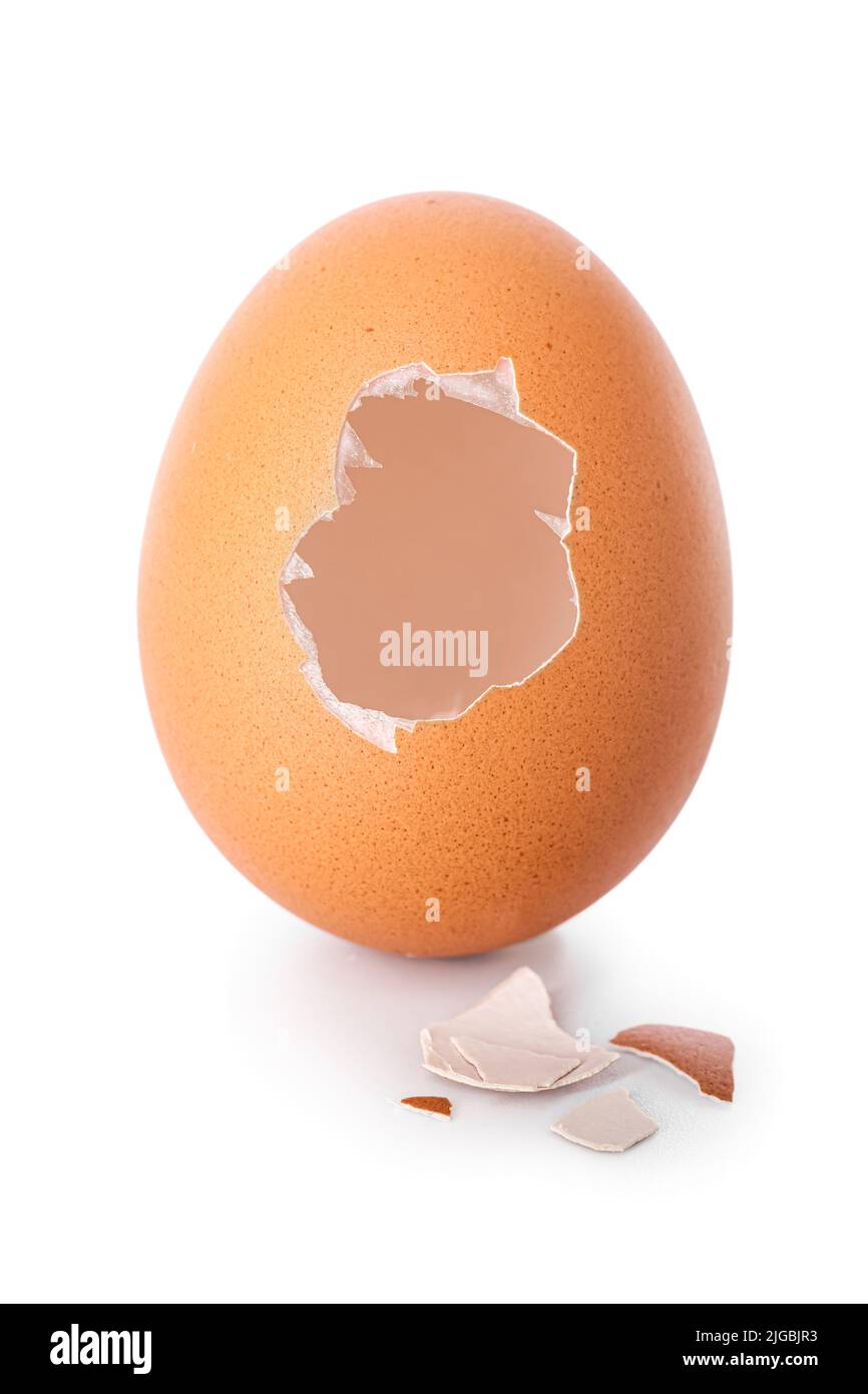 Egg shell on white background Stock Photo - Alamy