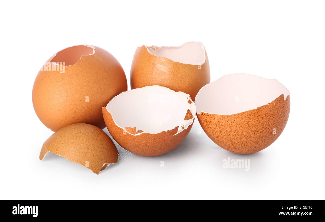 Many egg shells on white background Stock Photo - Alamy