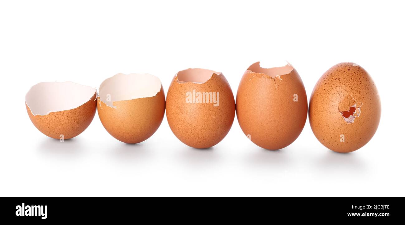 Composition with egg shells on white background Stock Photo - Alamy