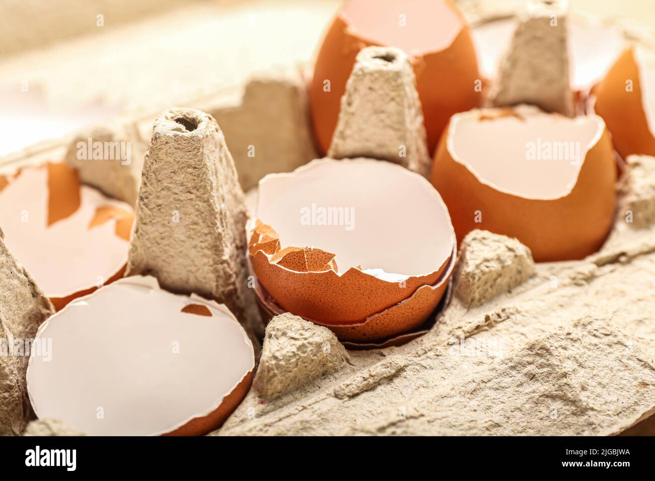 Cardboard egg holder hi-res stock photography and images - Alamy