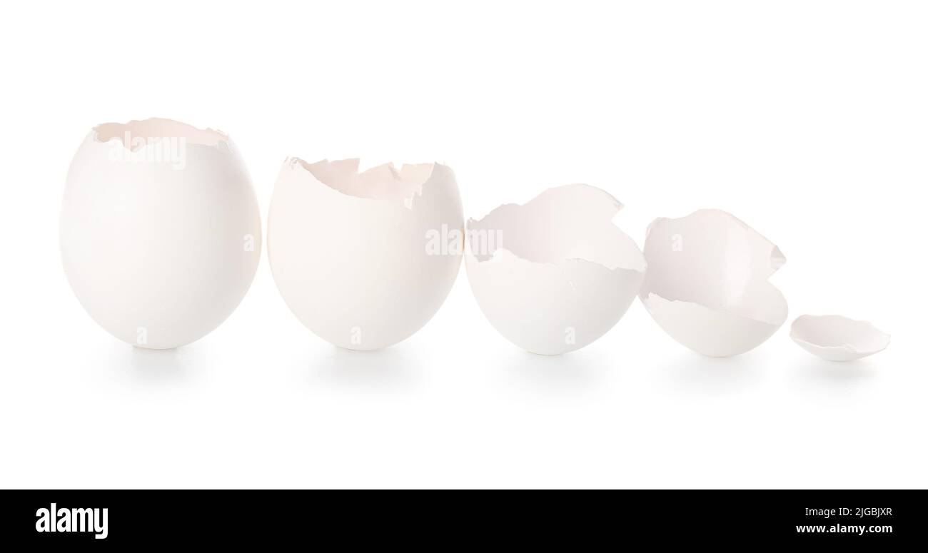 Composition with egg shells on white background Stock Photo - Alamy