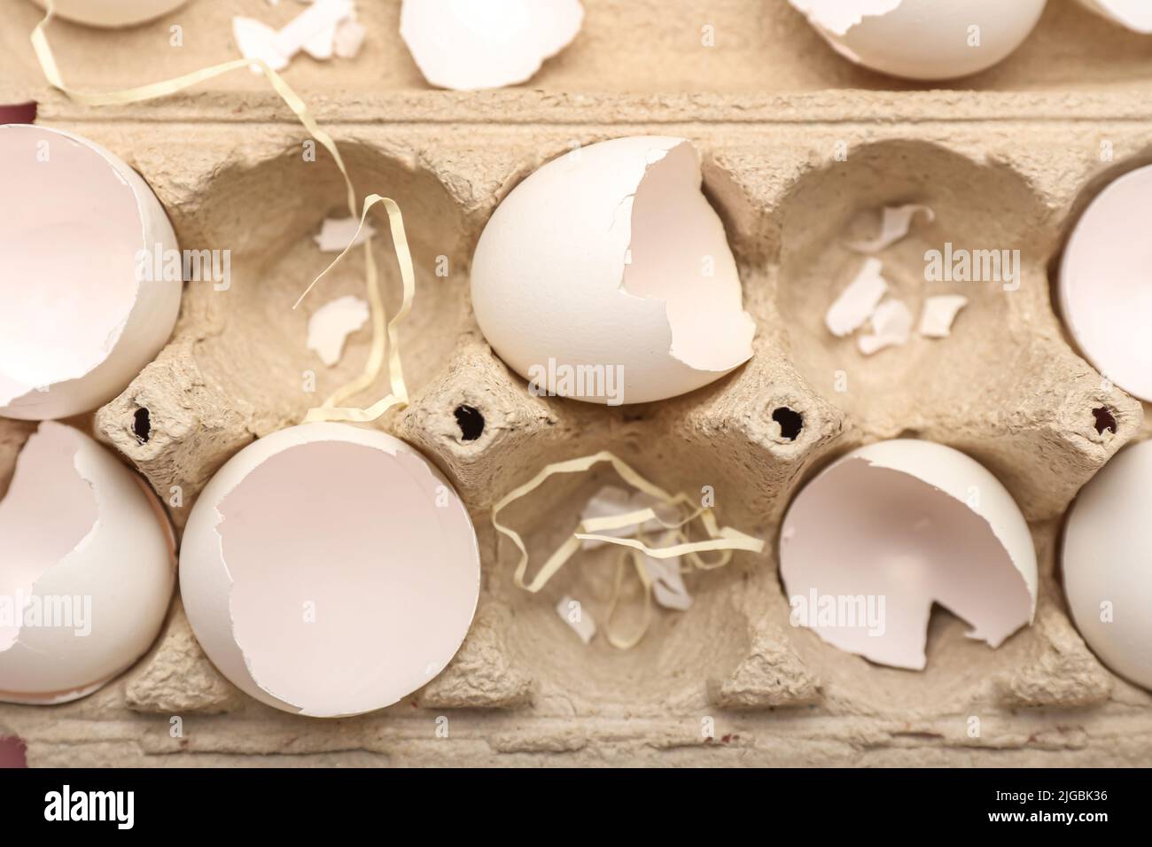 Cardboard egg holder hi-res stock photography and images - Alamy