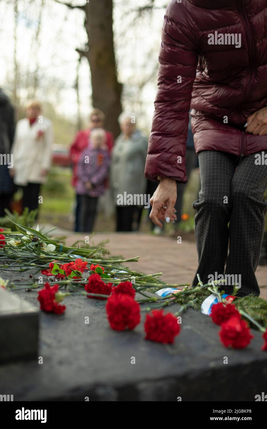 Red flowers on grave. Laying color on tombstone. Mourning ceremony ...