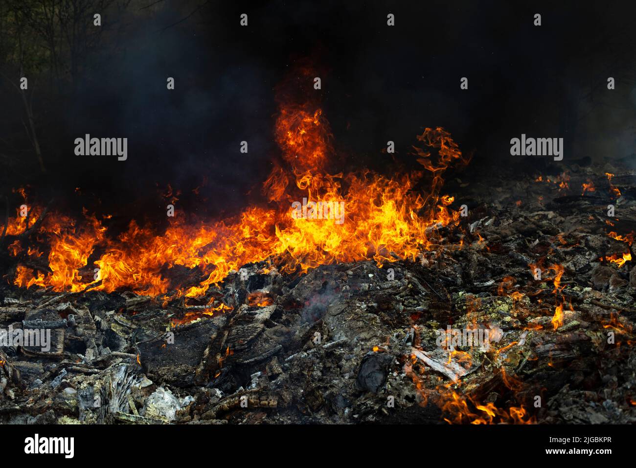 Fire and black smoke. Fire in landfill. Smoke in forest. Illegal ... Fire and black smoke. Fire in landfill. Smoke in forest. Illegal ...