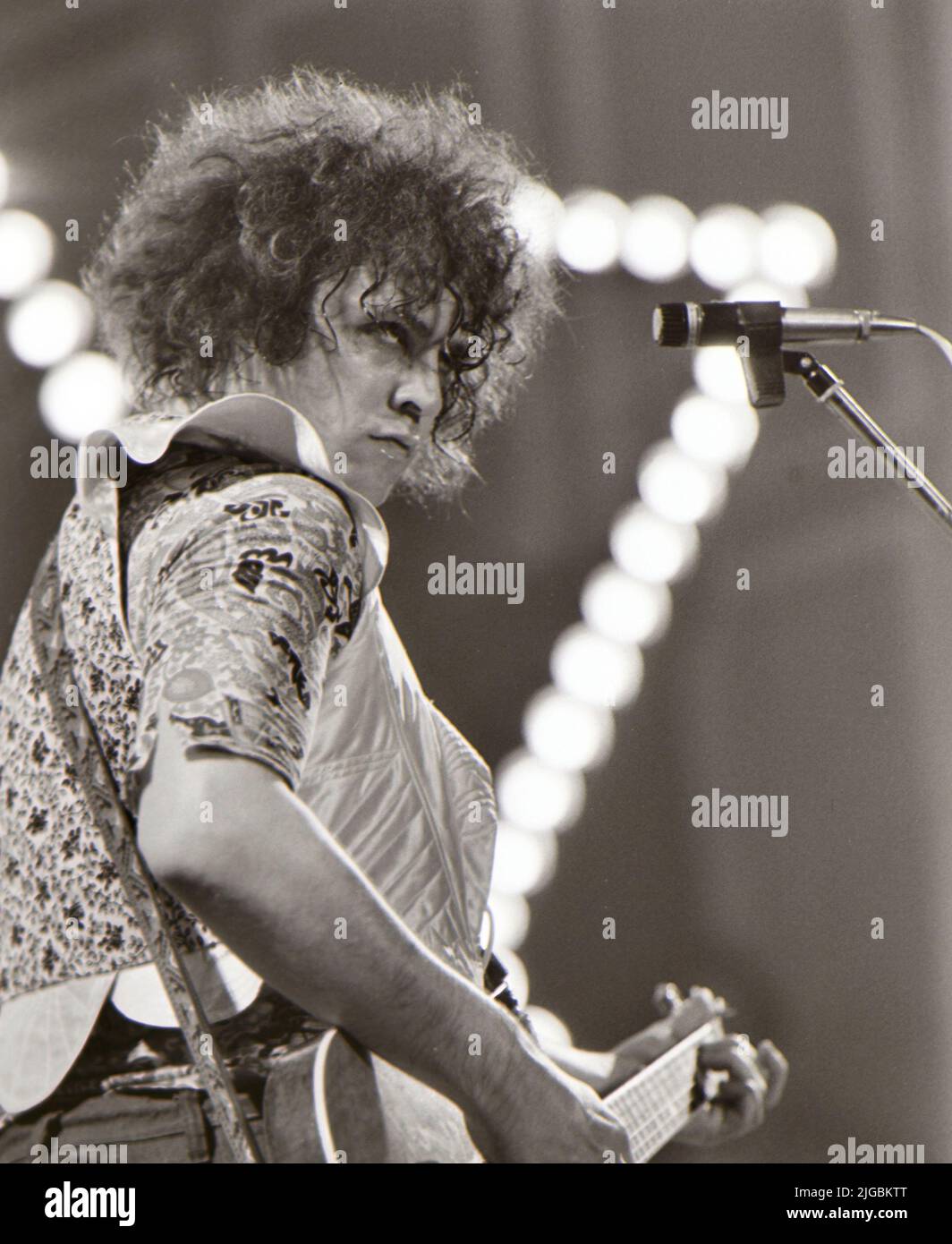 T rex band hi-res stock photography and images - Alamy