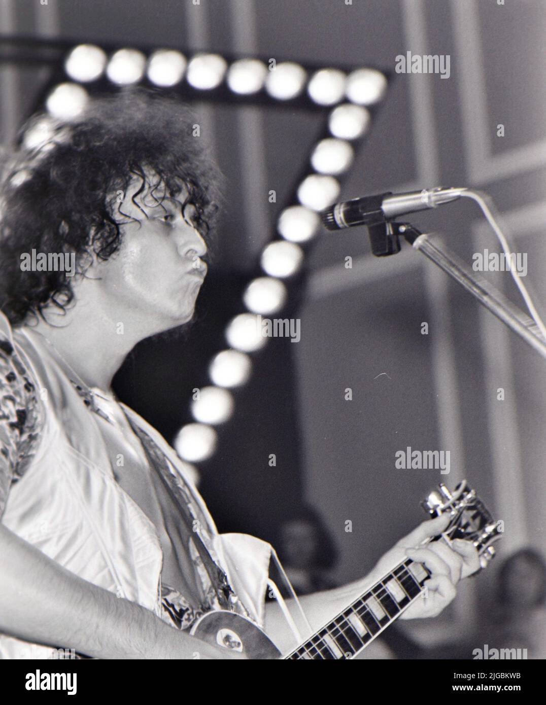 T rex band hi-res stock photography and images - Alamy