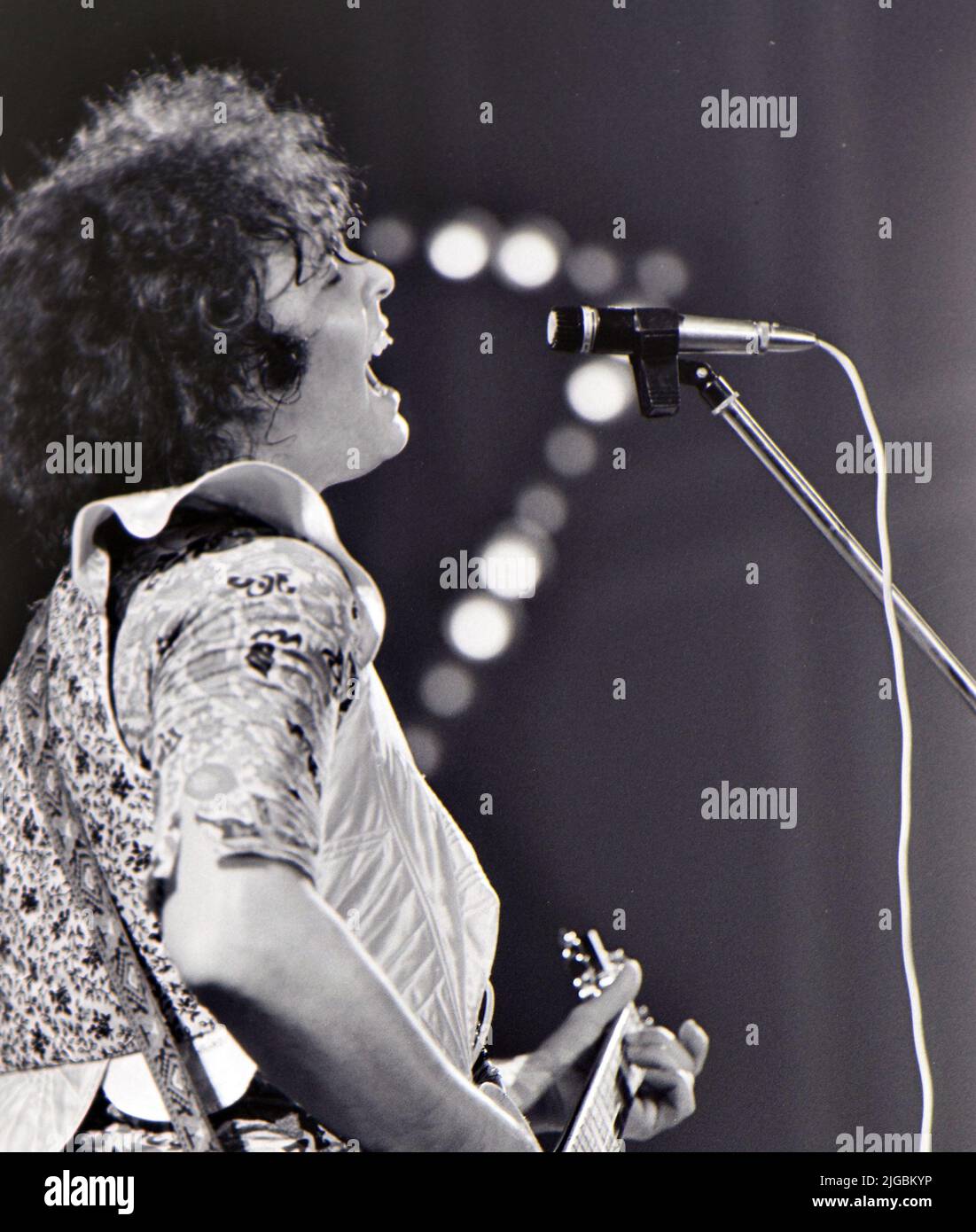 T rex band hi-res stock photography and images - Alamy
