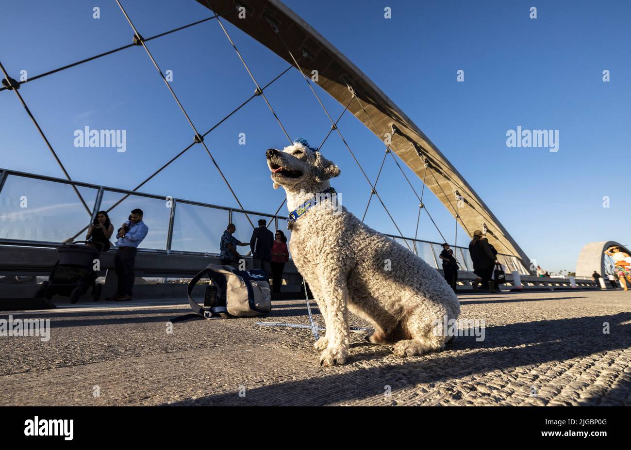 The new Sixth Street Bridge and Viaduct opens in Los Angeles. The new ...