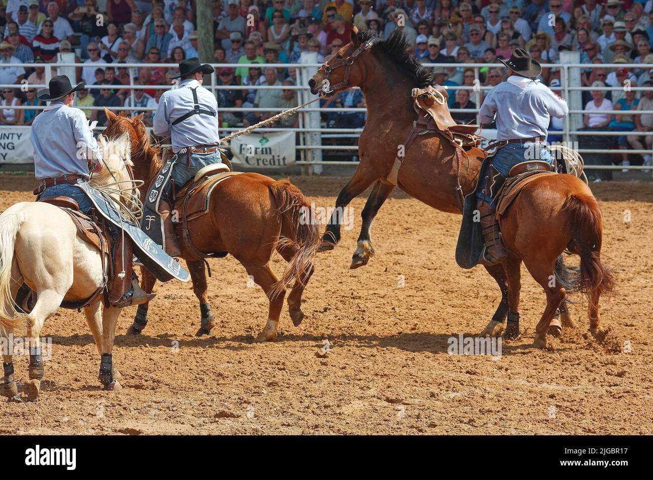 3 men corralling bucking horse hi-res stock photography and images - Alamy