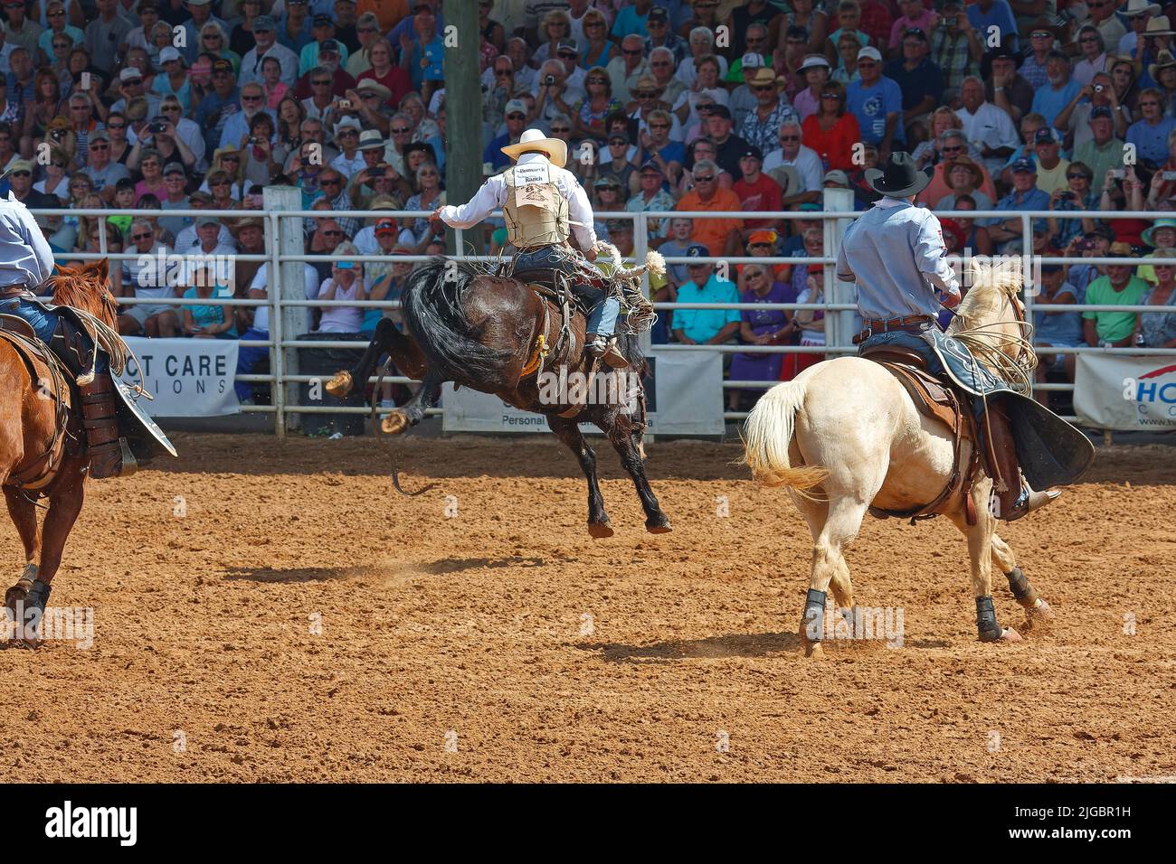 rodeo, man riding bucking horse,skill, motion, sport, spectators, 2 ...