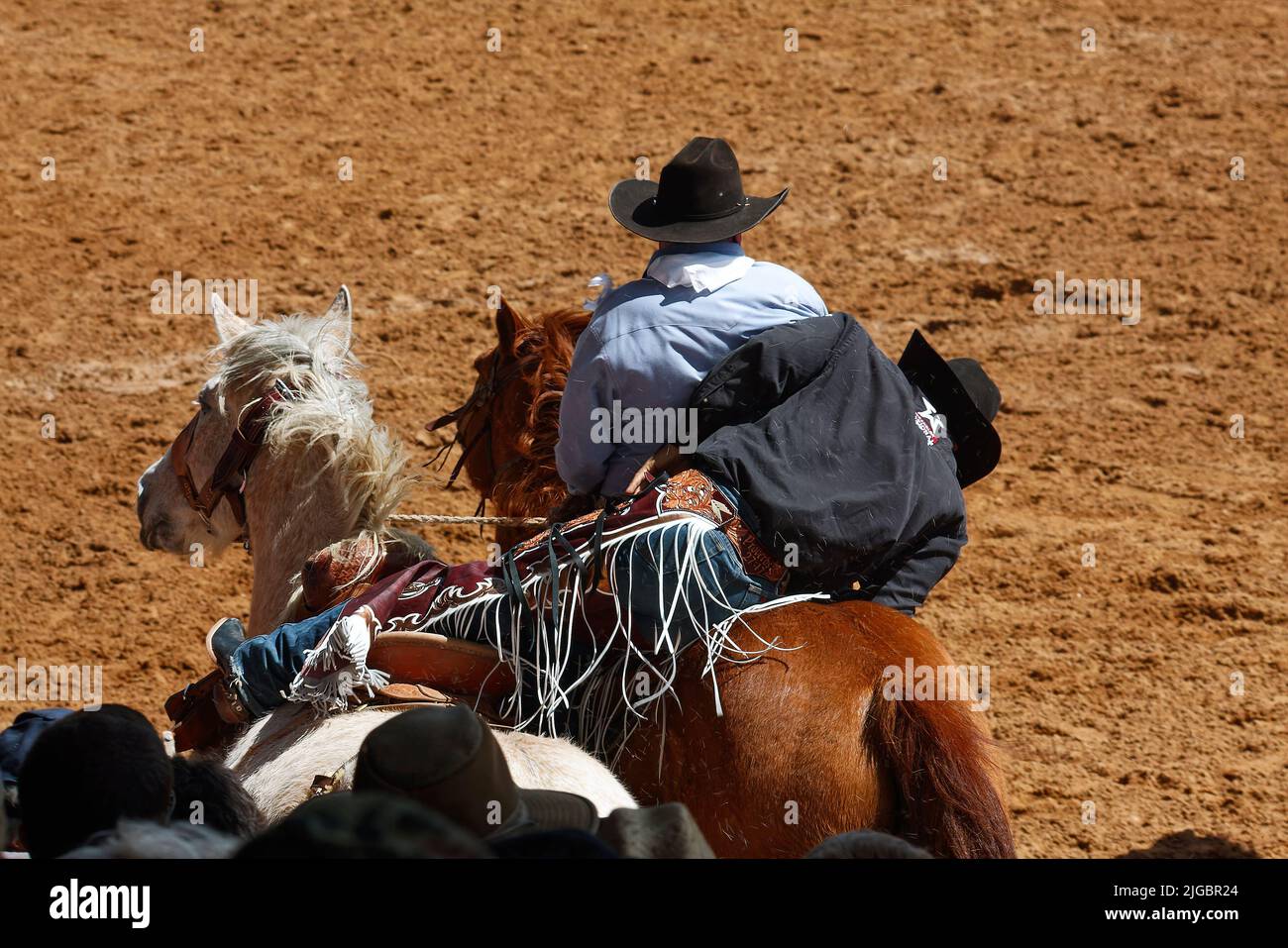 rodeo, man moving from bucking horse to attendant's horse, help, skill ...