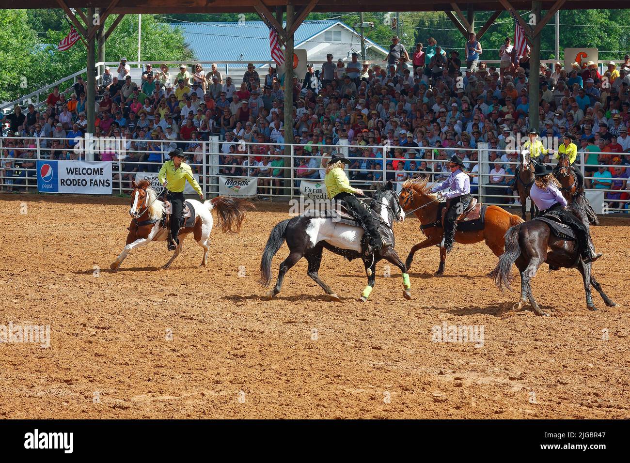 rodeo, entertainment, 6 women riding horses, in formations, skill ...